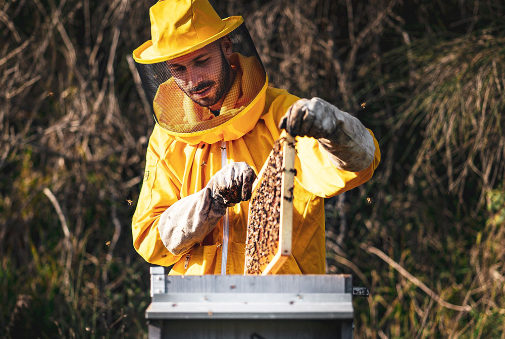 CIA - Agricoltori Italiani - Gymnasium Oma: Agia-Cia, Luca Bianchi tra ...